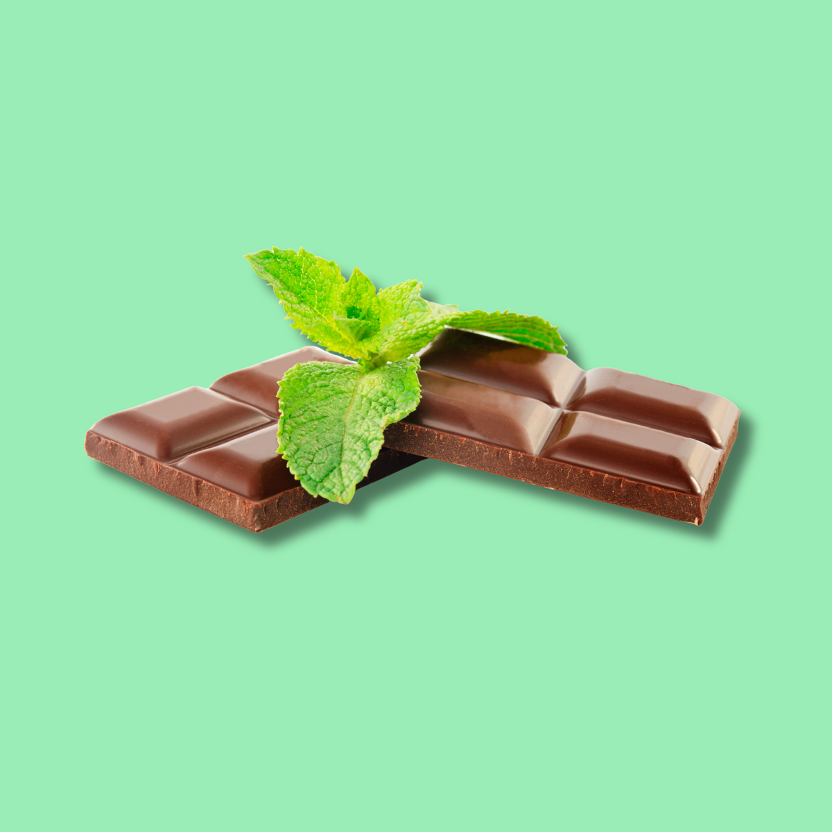 Mint Chocolate Fragrance Oil – House of Scent